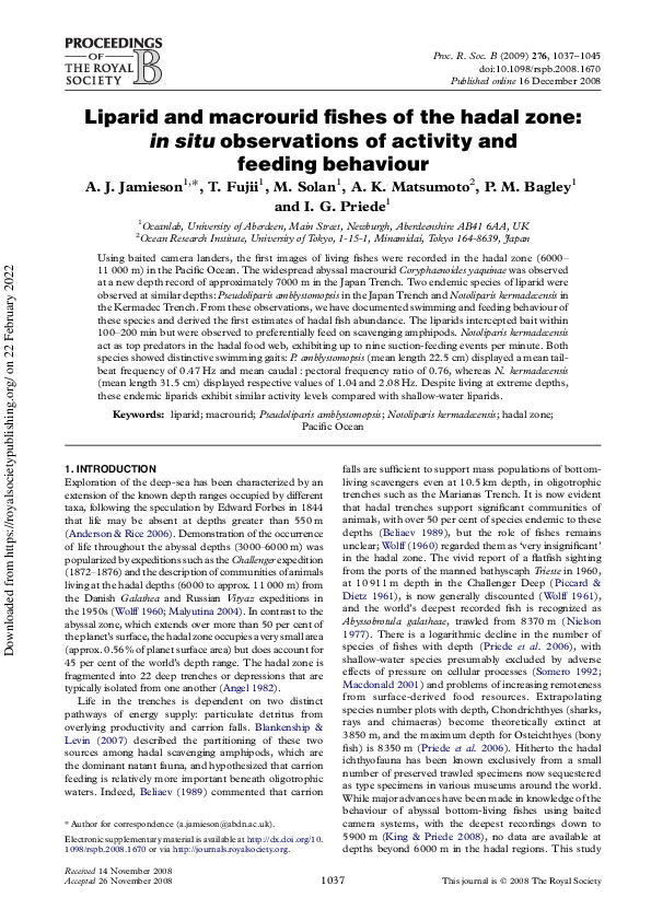 (PDF) Liparid and macrourid fishes of the hadal zone: in situ ...