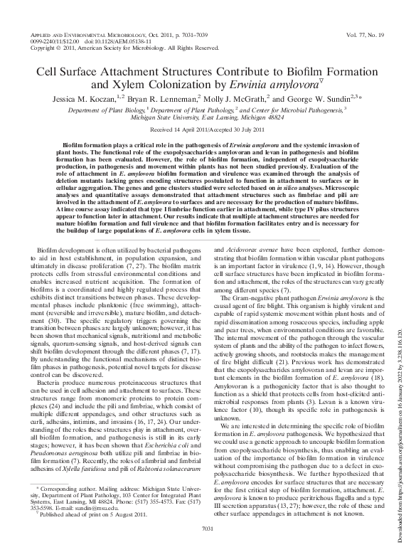 (PDF) Cell Surface Attachment Structures Contribute to Biofilm ...