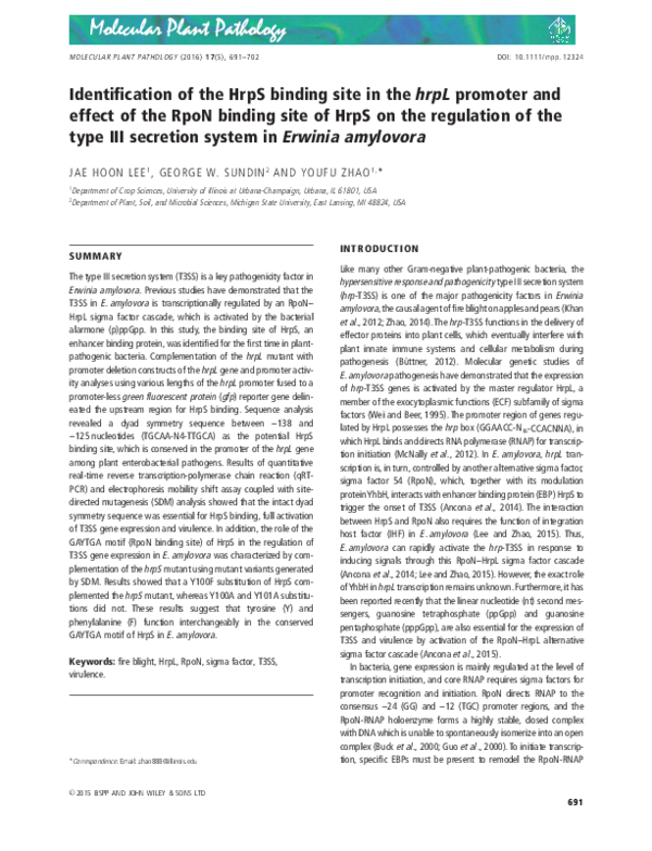 (PDF) Identification of the HrpS binding site in the hrpL promoter and ...