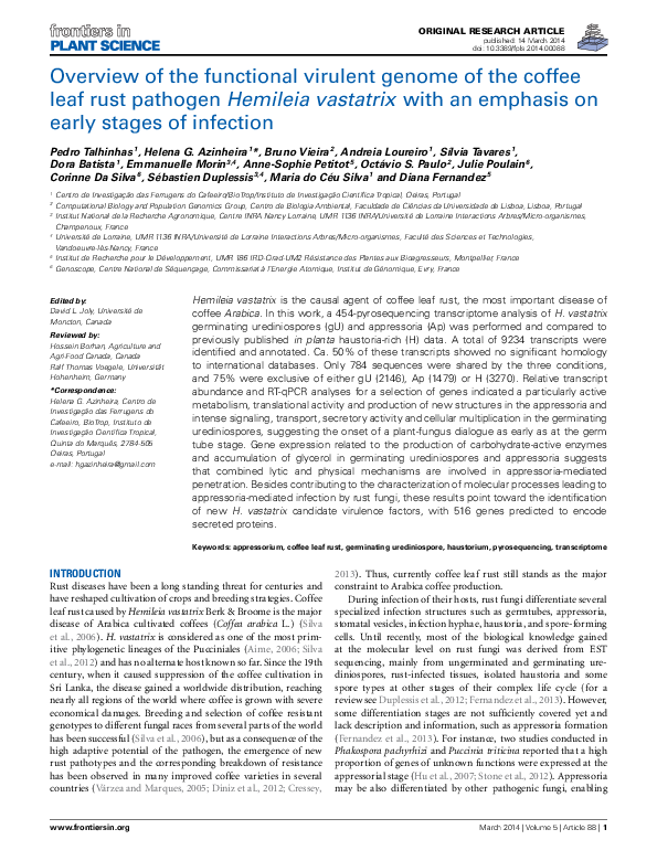 (PDF) Overview of the functional virulent genome of the coffee leaf ...