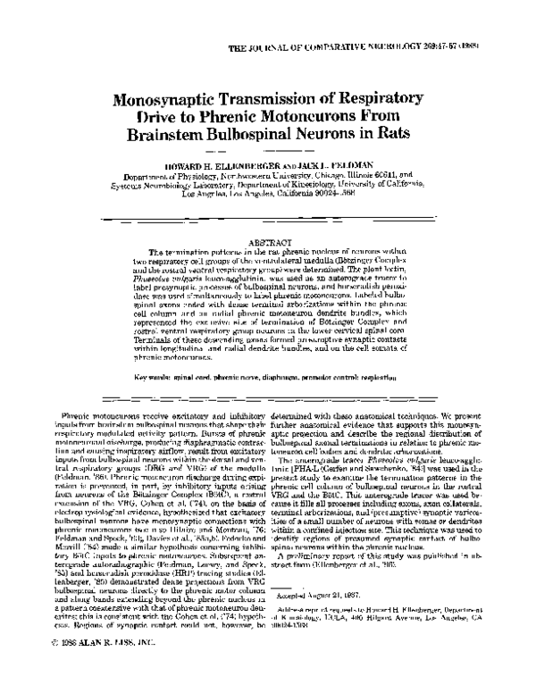 (PDF) Monosynaptic transmission of respiratory drive to phrenic ...