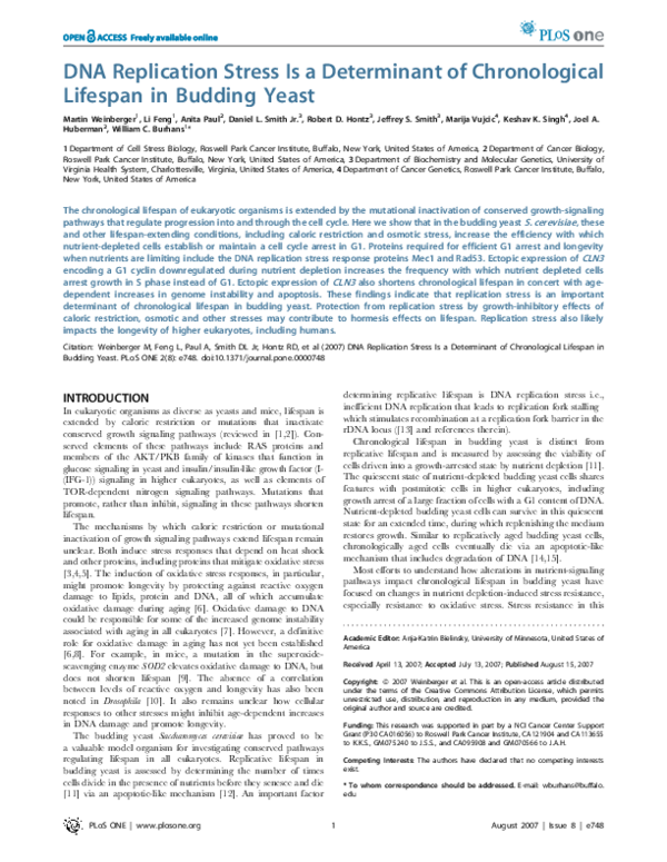 (PDF) DNA Replication Stress Is a Determinant of Chronological Lifespan ...