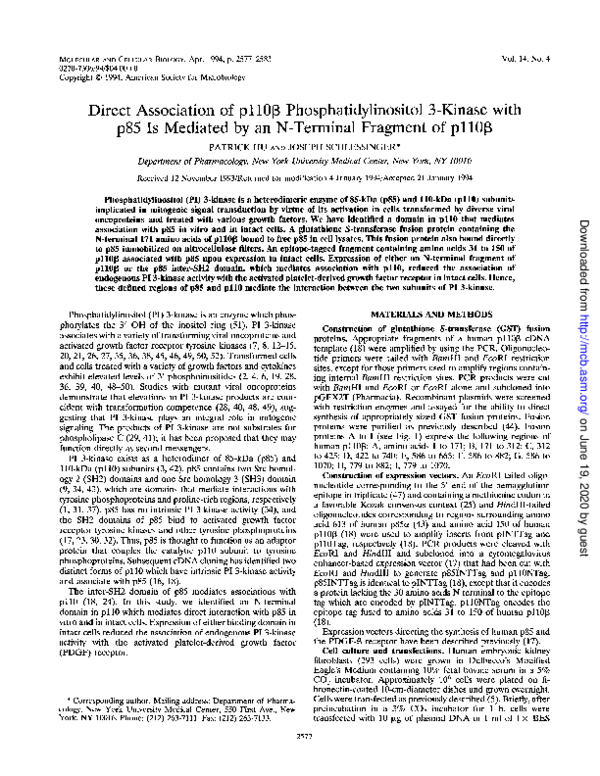 (PDF) N-terminal Fragment of p110 beta Binds p85