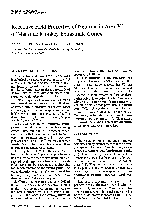 (PDF) Receptive field properties of neurons in area V3 of macaque monkey extrastriate cortex