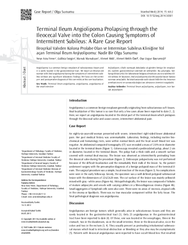 (PDF) Terminal Ileum Angiolipoma Prolapsing through the Ileocecal Valve ...