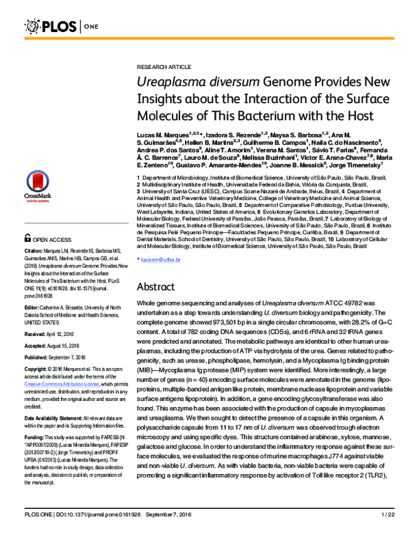 (PDF) Ureaplasma diversum Genome Provides New Insights about the ...