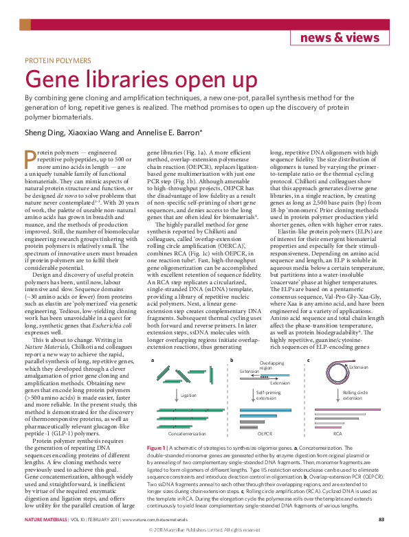 (PDF) Protein polymer: Gene libraries open up
