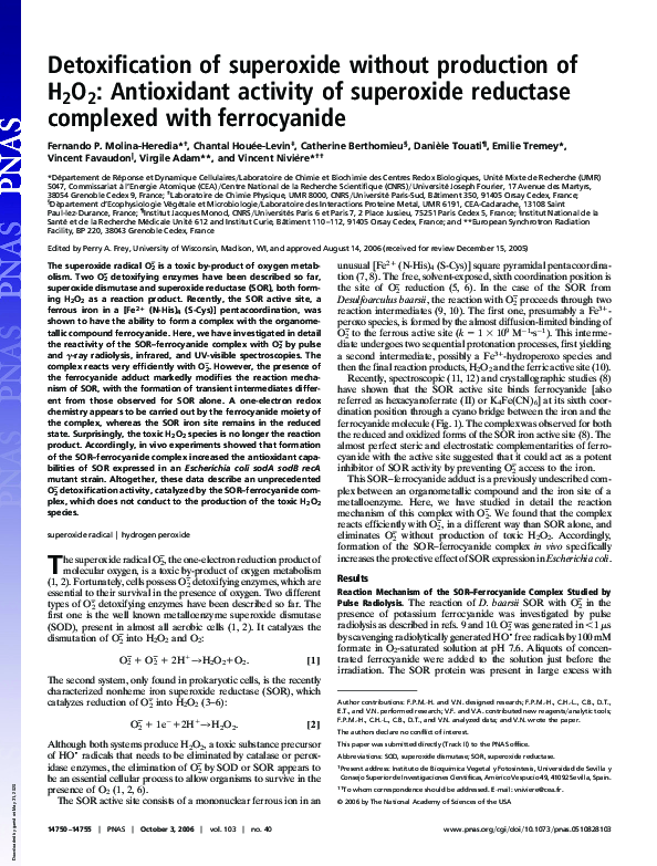 (PDF) Detoxification of superoxide without production of H2O2 ...