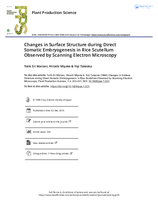 (PDF) Changes in Surface Structure during Direct Somatic Embryogenesis ...