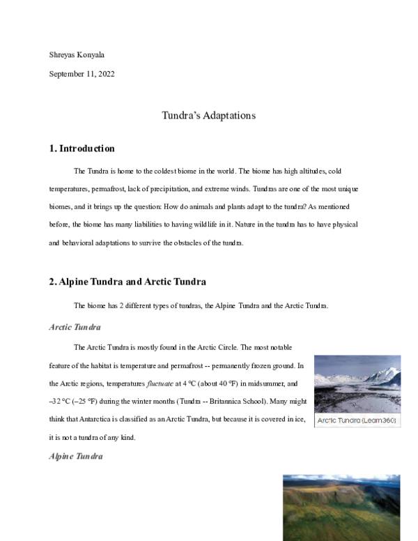 (PDF) Tundra's Adaptations