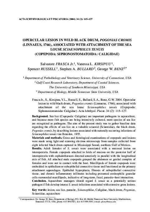 Opercular lesion in wild black drum, Pogonias cromis (Linnaeus, 1766 ...