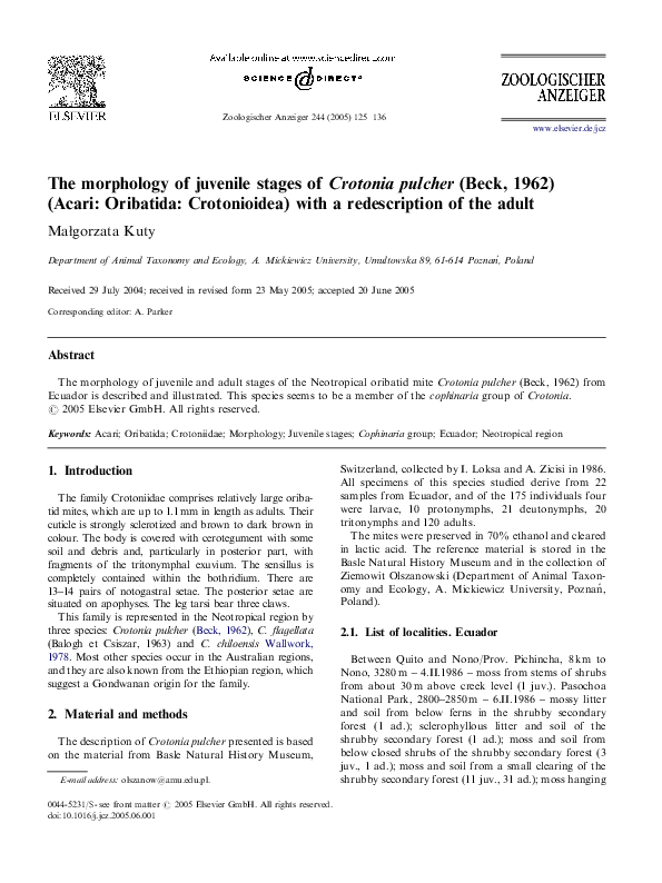 (PDF) The morphology of juvenile stages of Crotonia pulcher (Beck, 1962 ...