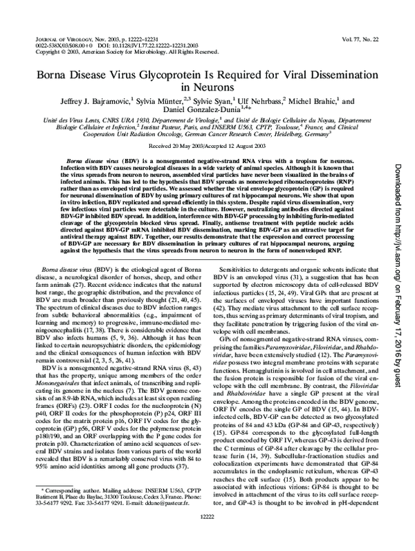 (PDF) Borna Disease Virus Glycoprotein Is Required for Viral ...