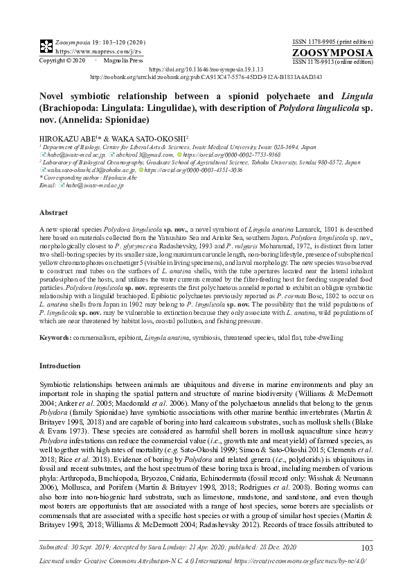 (PDF) Novel symbiotic relationship between a spionid polychaete and ...