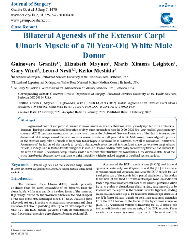 (PDF) Bilateral Agenesis of the Extensor Carpi Ulnaris Muscle of a 70 ...