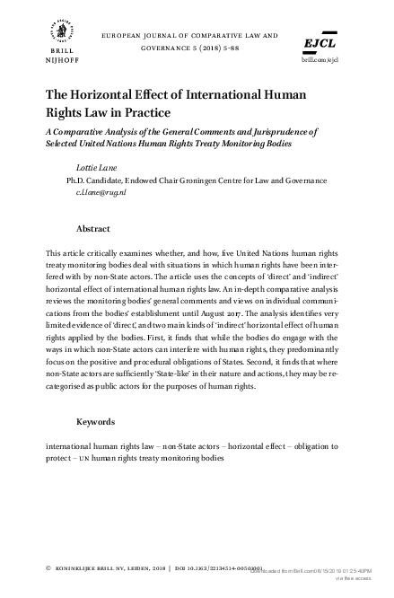 (PDF) The Horizontal Effect of International Human Rights Law in Practice