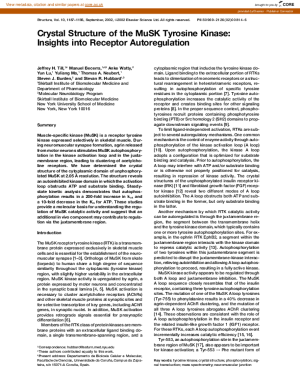 (PDF) Crystal Structure of the MuSK Tyrosine Kinase