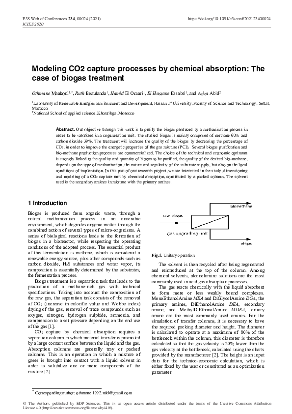 (PDF) Modeling CO2 capture processes by chemical absorption: The case ...