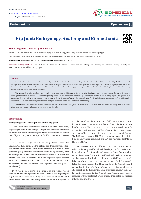 (PDF) Hip Joint: Embryology, Anatomy and Biomechanics