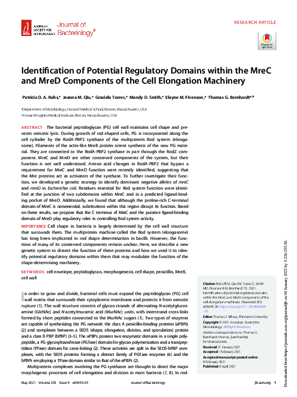 (PDF) Identification of Potential Regulatory Domains within the MreC ...