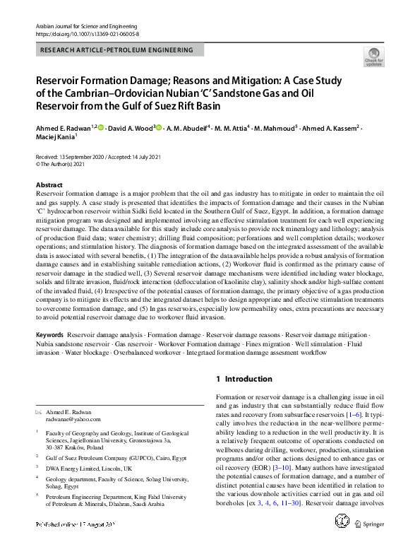 (PDF) Reservoir Formation Damage; Reasons and Mitigation: A Case Study of the Cambrian ...