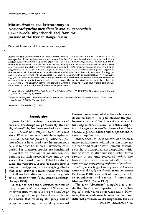 (PDF) Miniaturization and heterochrony in Homoeorhynchia meridionalis ...