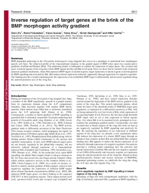 (PDF) Inverse regulation of target genes at the brink of the BMP ...