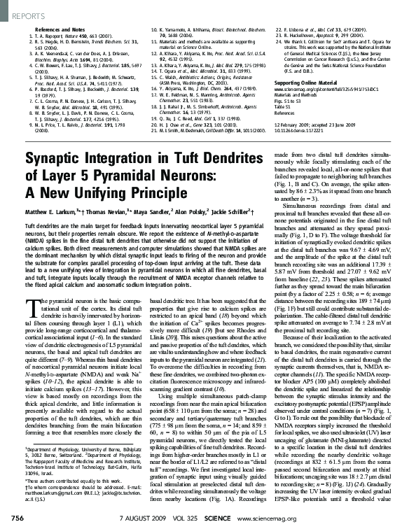 (PDF) Synaptic Integration in Tuft Dendrites of Layer 5 Pyramidal ...