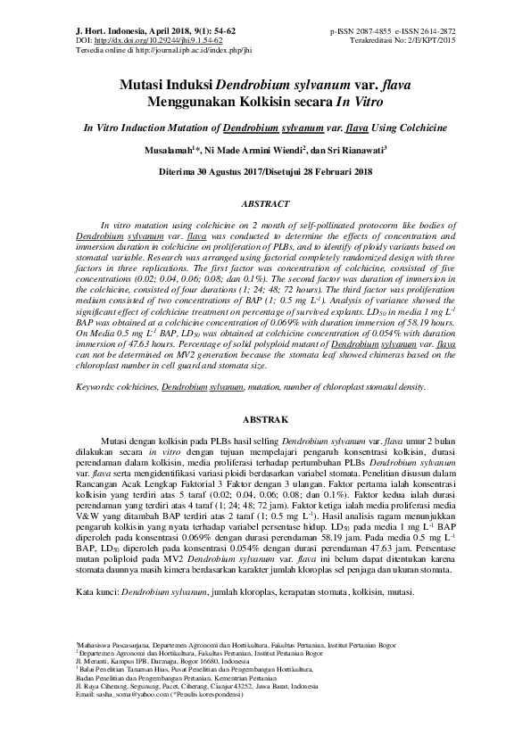 (PDF) Mutasi Induksi Dendrobium sylvanum var. flava Menggunakan ...