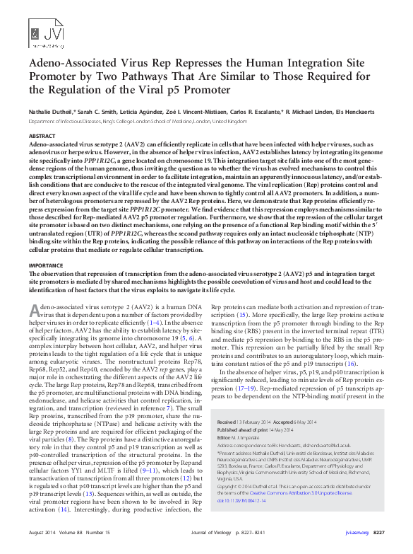(PDF) Adeno-associated virus Rep represses the human integration site ...