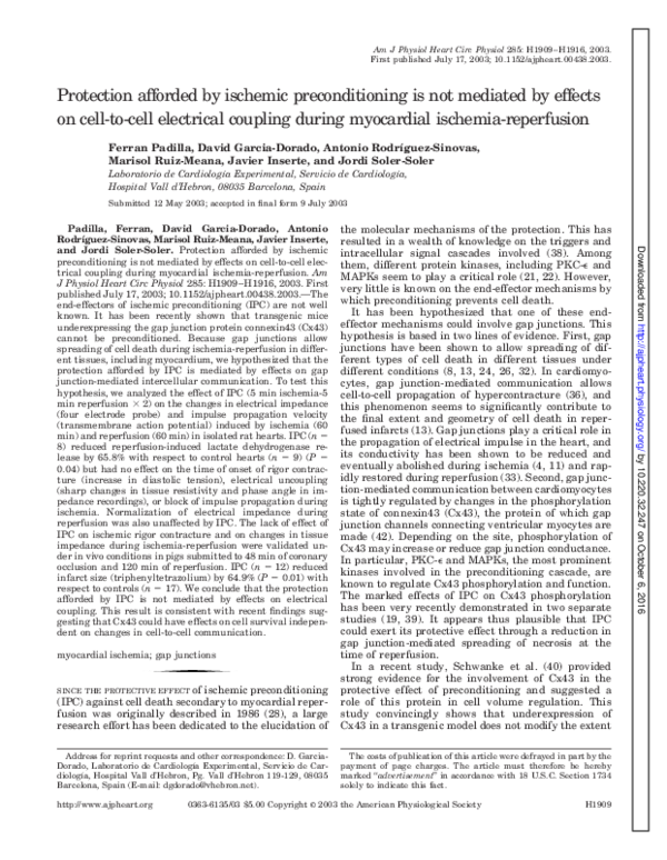 (PDF) Protection afforded by ischemic preconditioning is not mediated ...