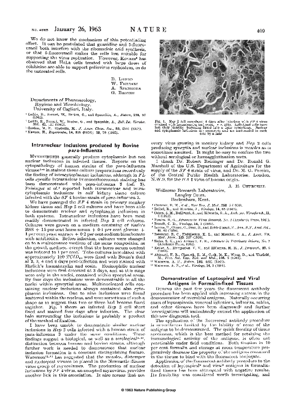 (PDF) ARQ scheme with combined channel coding and modulation using noncoherent detection