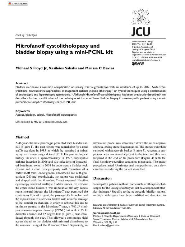 (PDF) Mitrofanoff cystolitholopaxy and bladder biopsy using a mini-PCNL ...