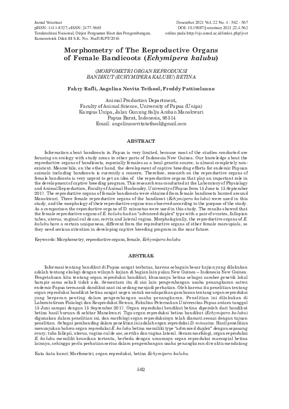 (PDF) Morphometry of The Reproductive Organs of Female Bandicoots ...