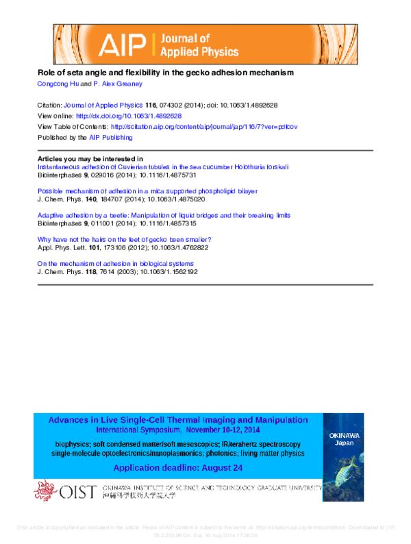 (PDF) Role of seta angle and flexibility in the gecko adhesion mechanism