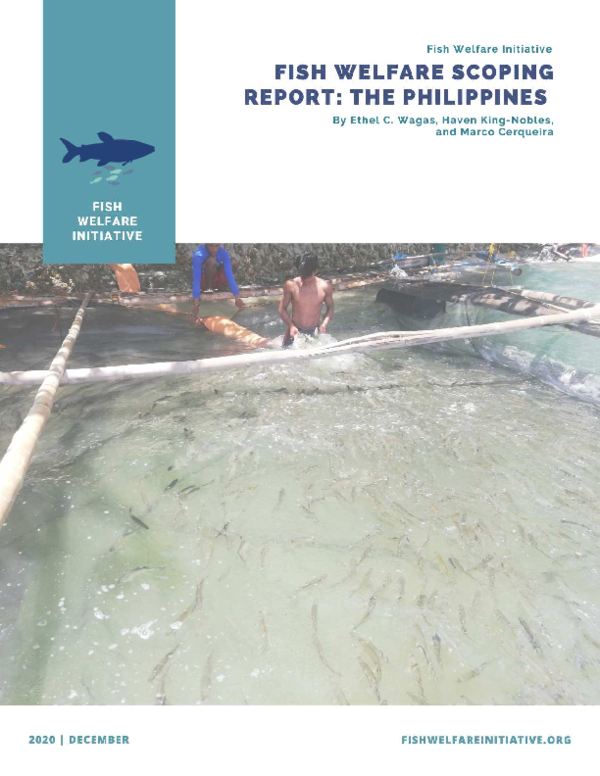 (PDF) Fish Welfare Scoping Report : The Philippines