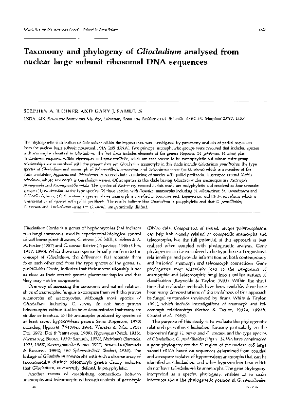 (PDF) Taxonomy and phylogeny of Gliocladium analysed from nuclear large ...