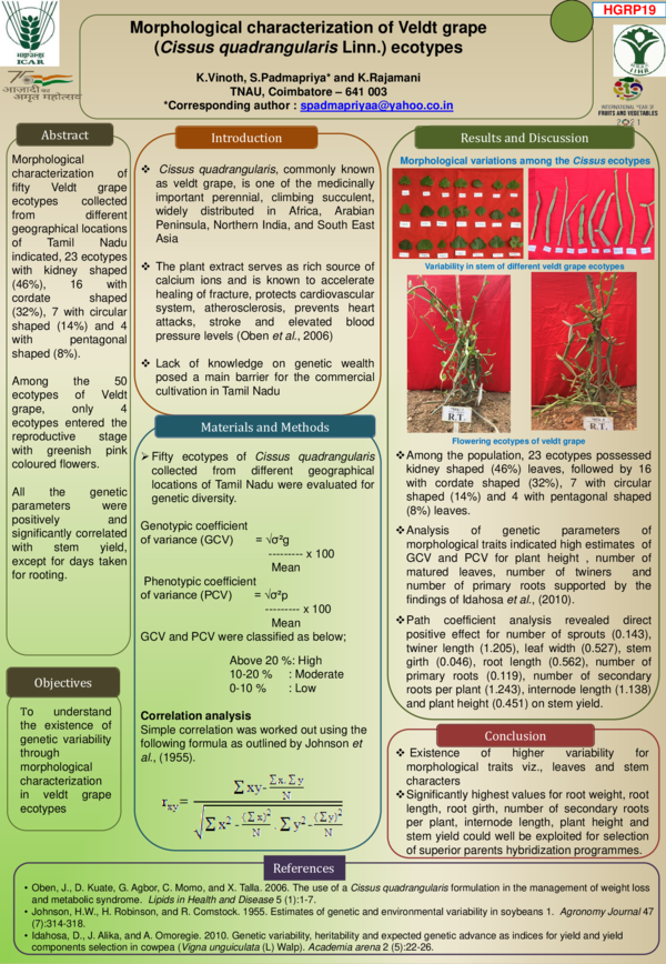 (PDF) Morphological characterization of Veldt grape (Cissus ...