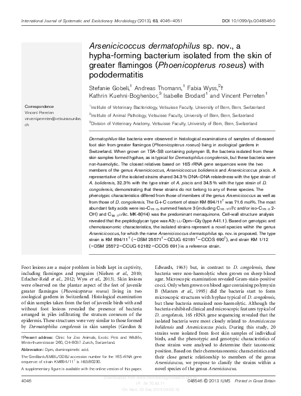 (PDF) Arsenicicoccus dermatophilus sp. nov., a hypha-forming bacterium ...