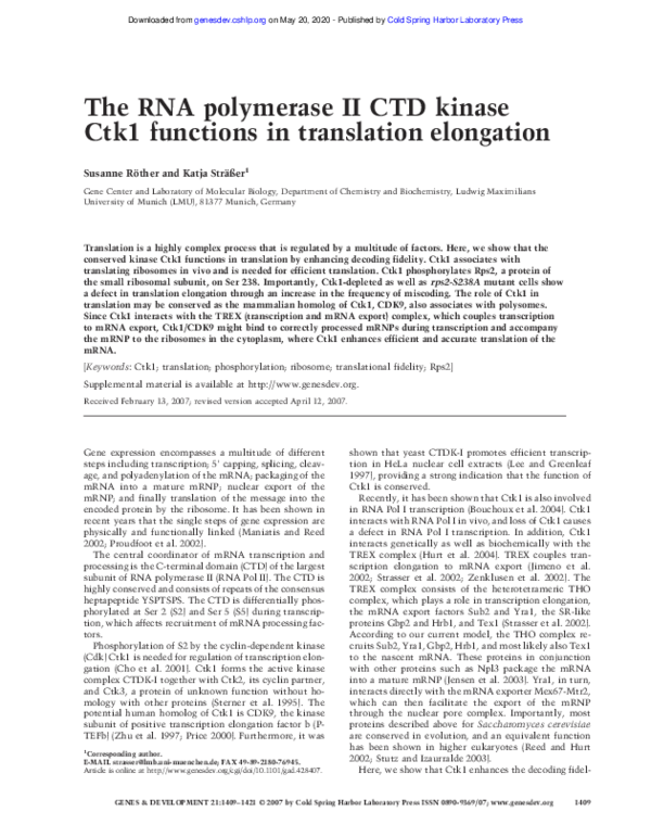 (PDF) The RNA polymerase II CTD kinase Ctk1 functions in translation ...