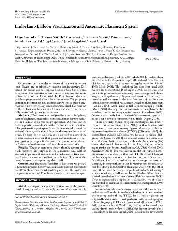 (PDF) Endoclamp Balloon Visualization and Automatic Placement System