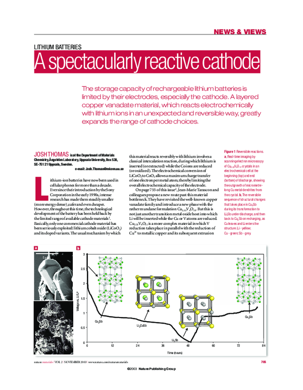 (PDF) Lithium batteries: A spectacularly reactive cathode