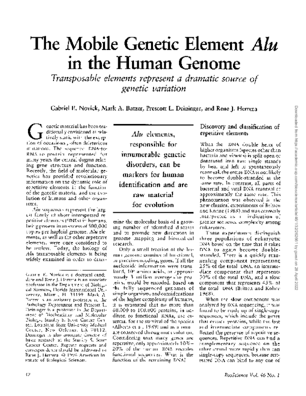 (PDF) The Mobile Genetic Element "Alu" in the Human Genome