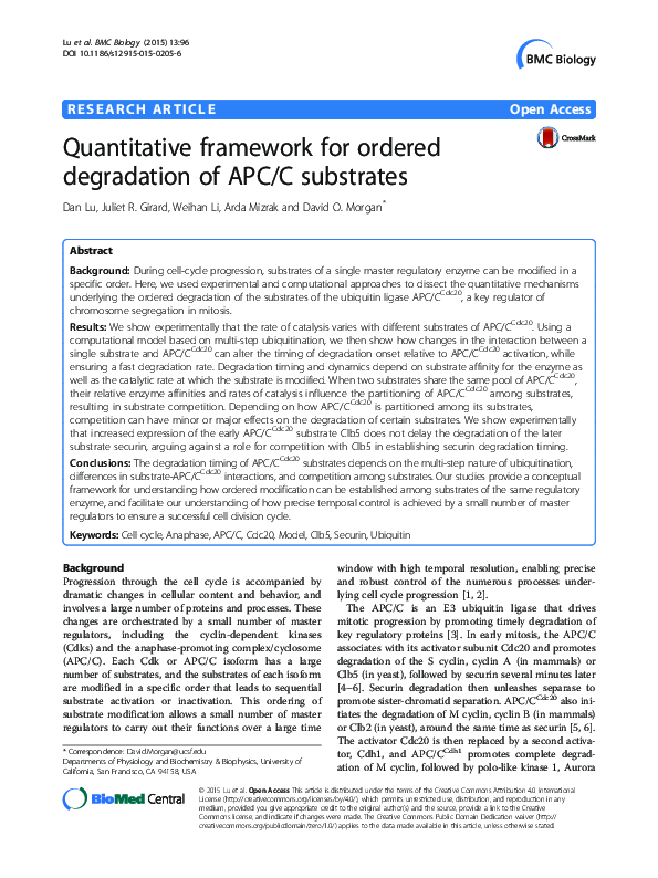 (PDF) Ordered Degradation Mechanisms of APC/C Substrates