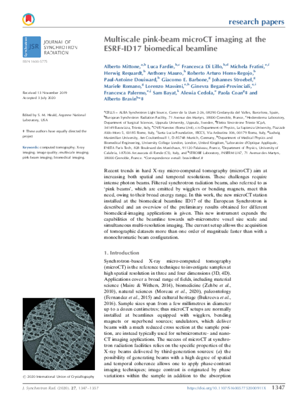 (PDF) Multiscale pink-beam microCT imaging at the ESRF-ID17 biomedical ...