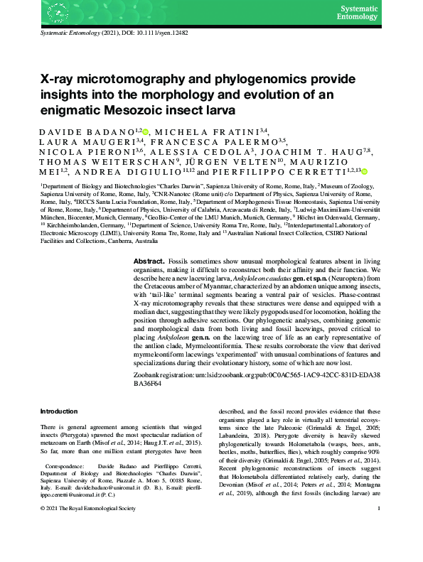 (PDF) X‐ray microtomography and phylogenomics provide insights into the ...