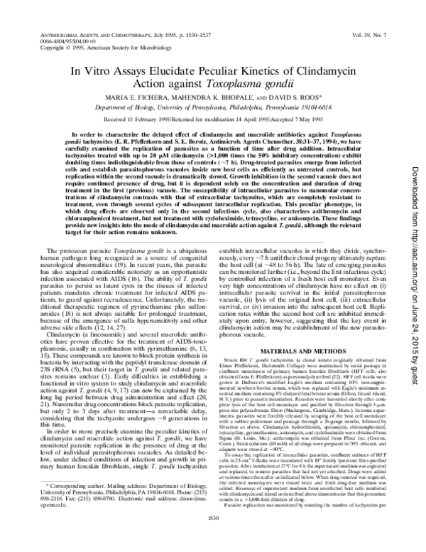 (PDF) In vitro assays elucidate peculiar kinetics of clindamycin action ...