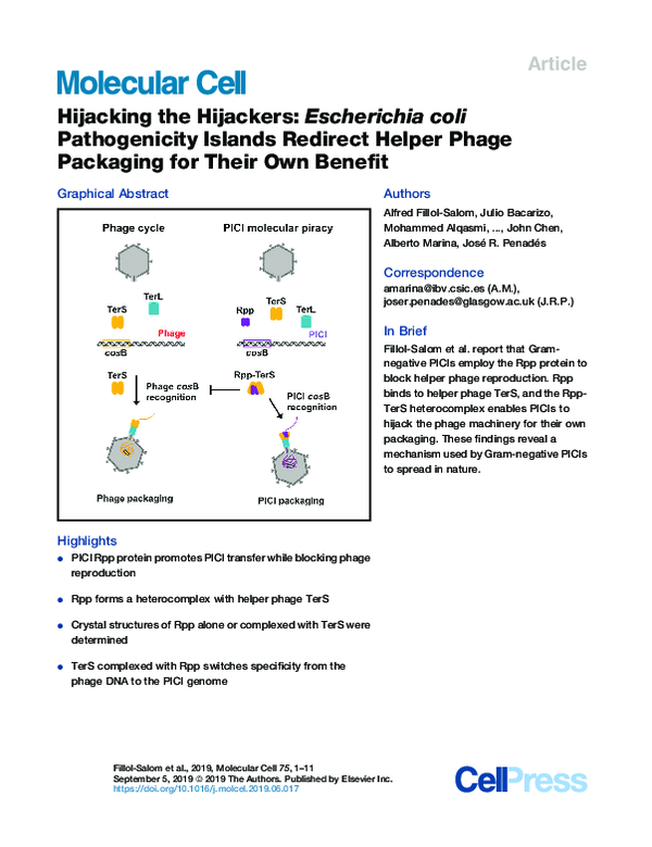 (PDF) Pathogenicity Islands of Extraintestinal Escherichia coli