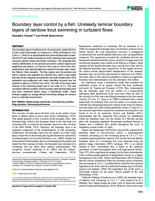(PDF) Boundary layer control by a fish: Unsteady laminar boundary layers of rainbow trout ...