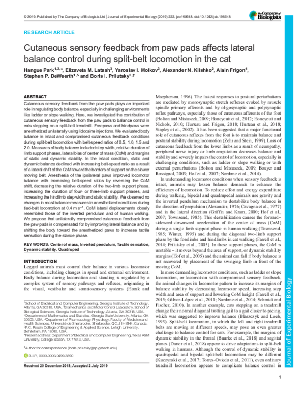 (PDF) Cutaneous sensory feedback from paw pads affects lateral balance ...